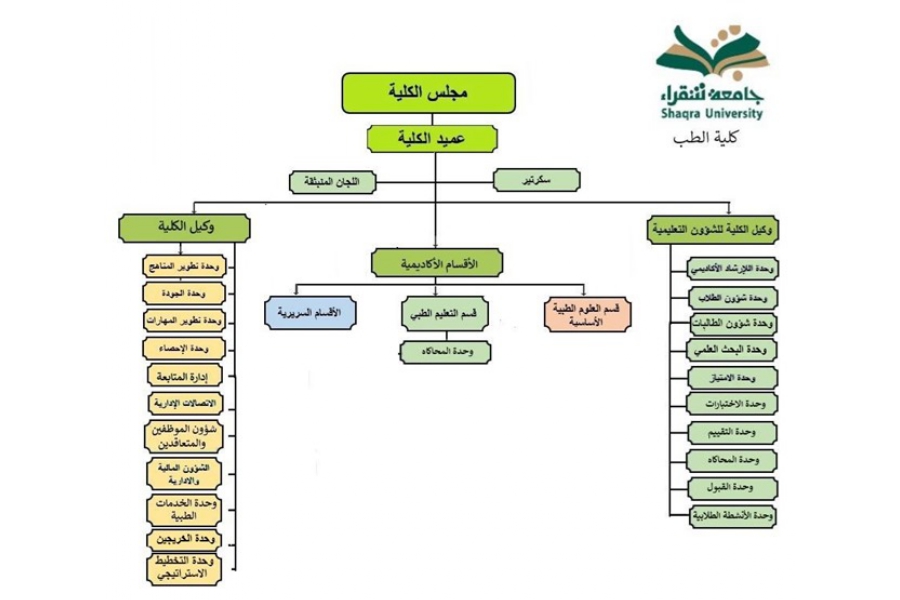 Structure | Shaqra University